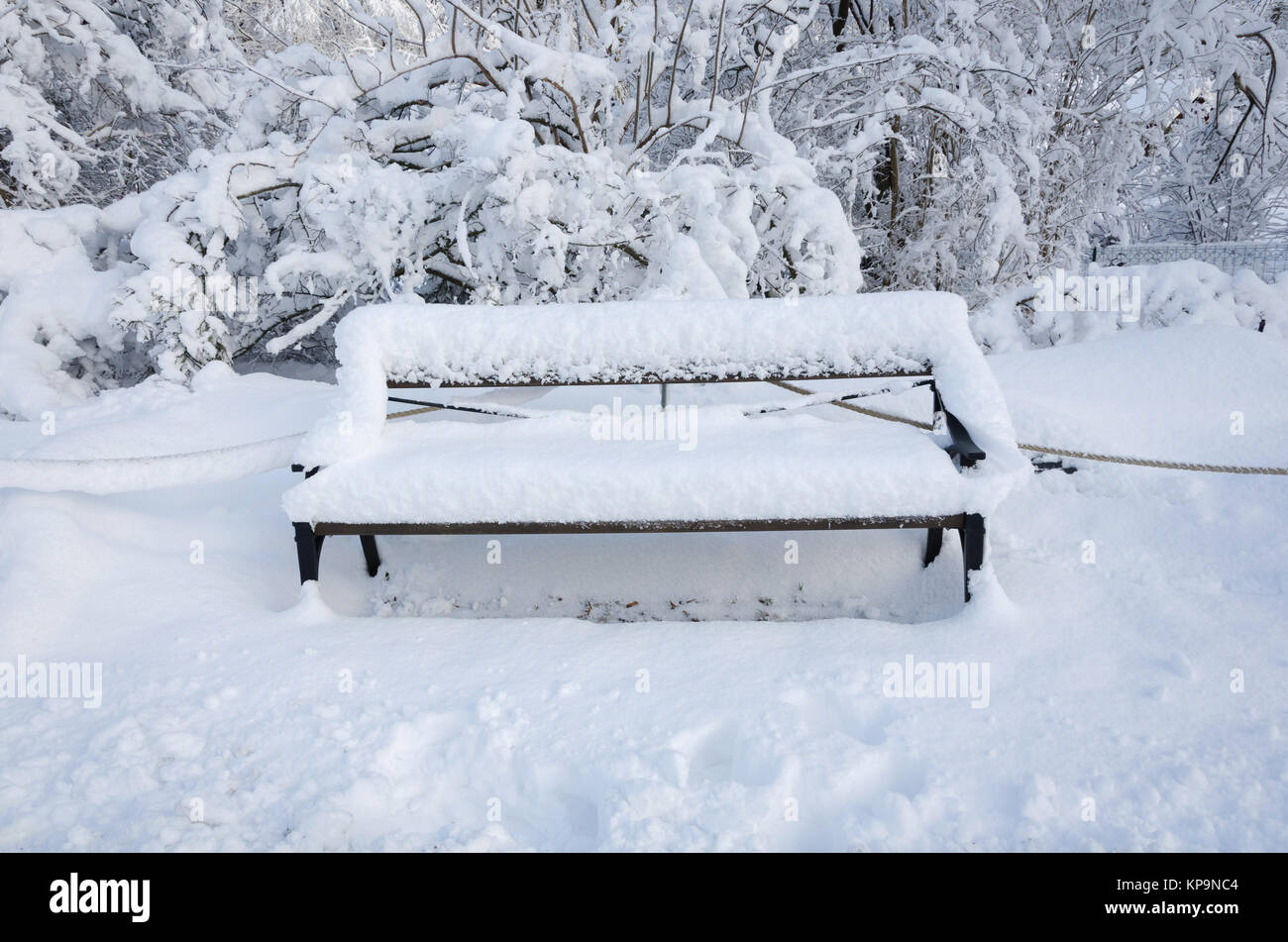 one bench with snow on in the winter Stock Photo - Alamy