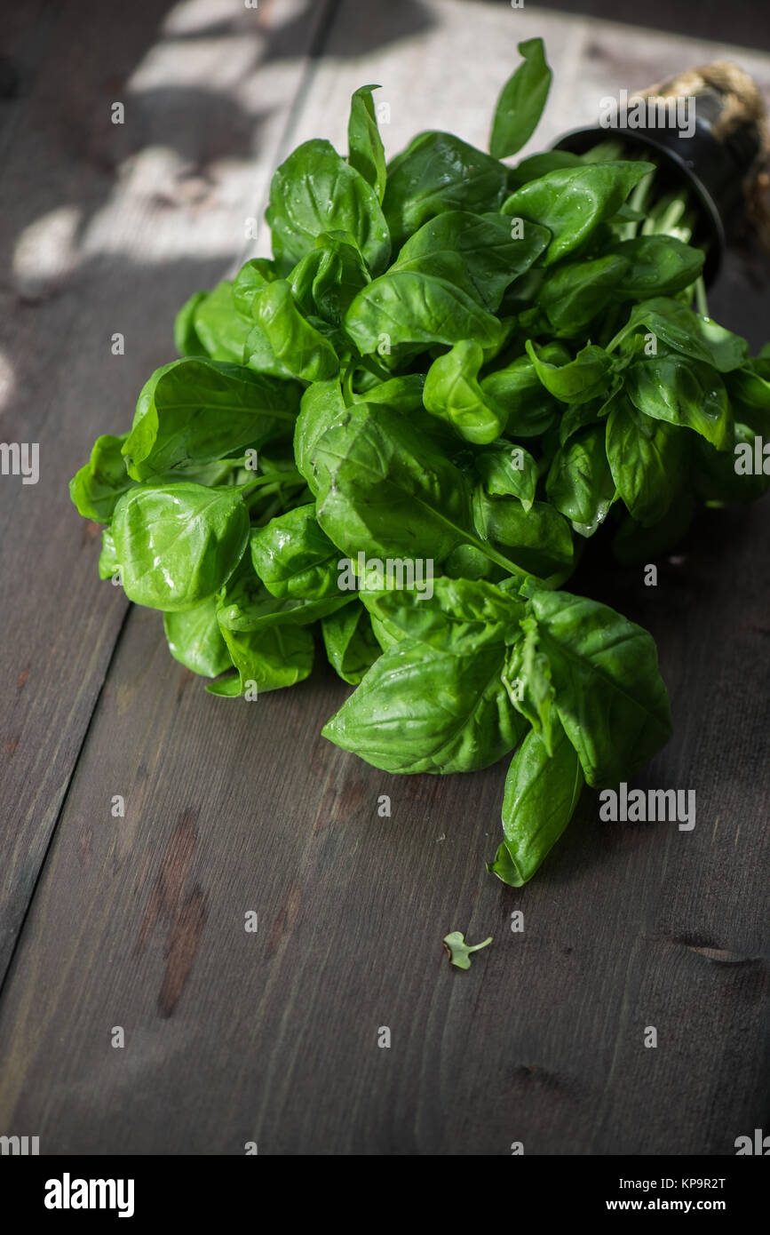 Fresh organic basil Stock Photo - Alamy