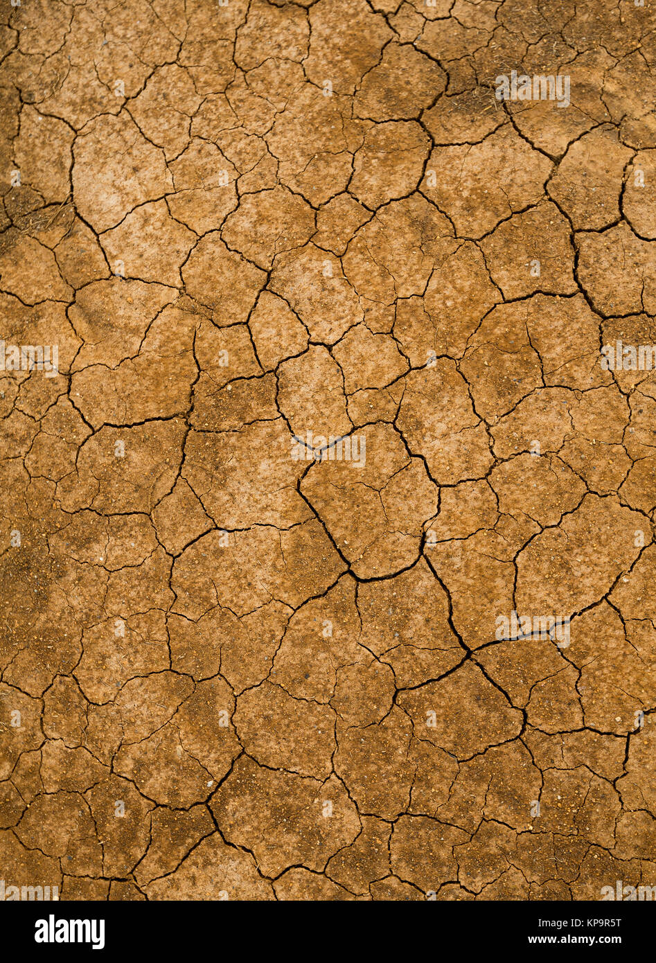 Texture cracked earth Stock Photo - Alamy