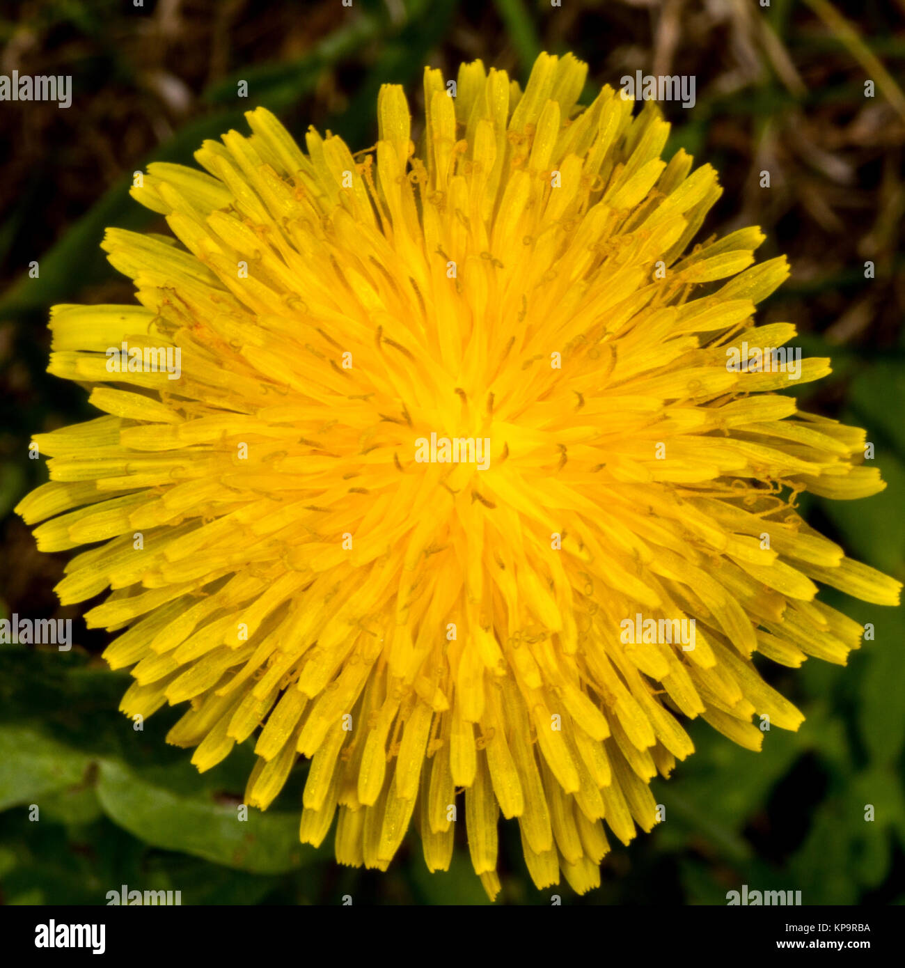 Cable salad hi-res stock photography and images - Alamy
