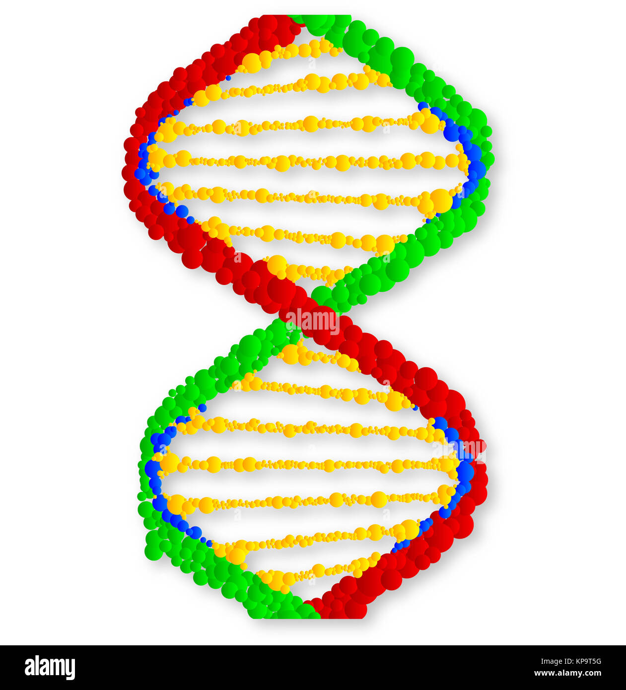 Twin DNA Strands Stock Photo - Alamy