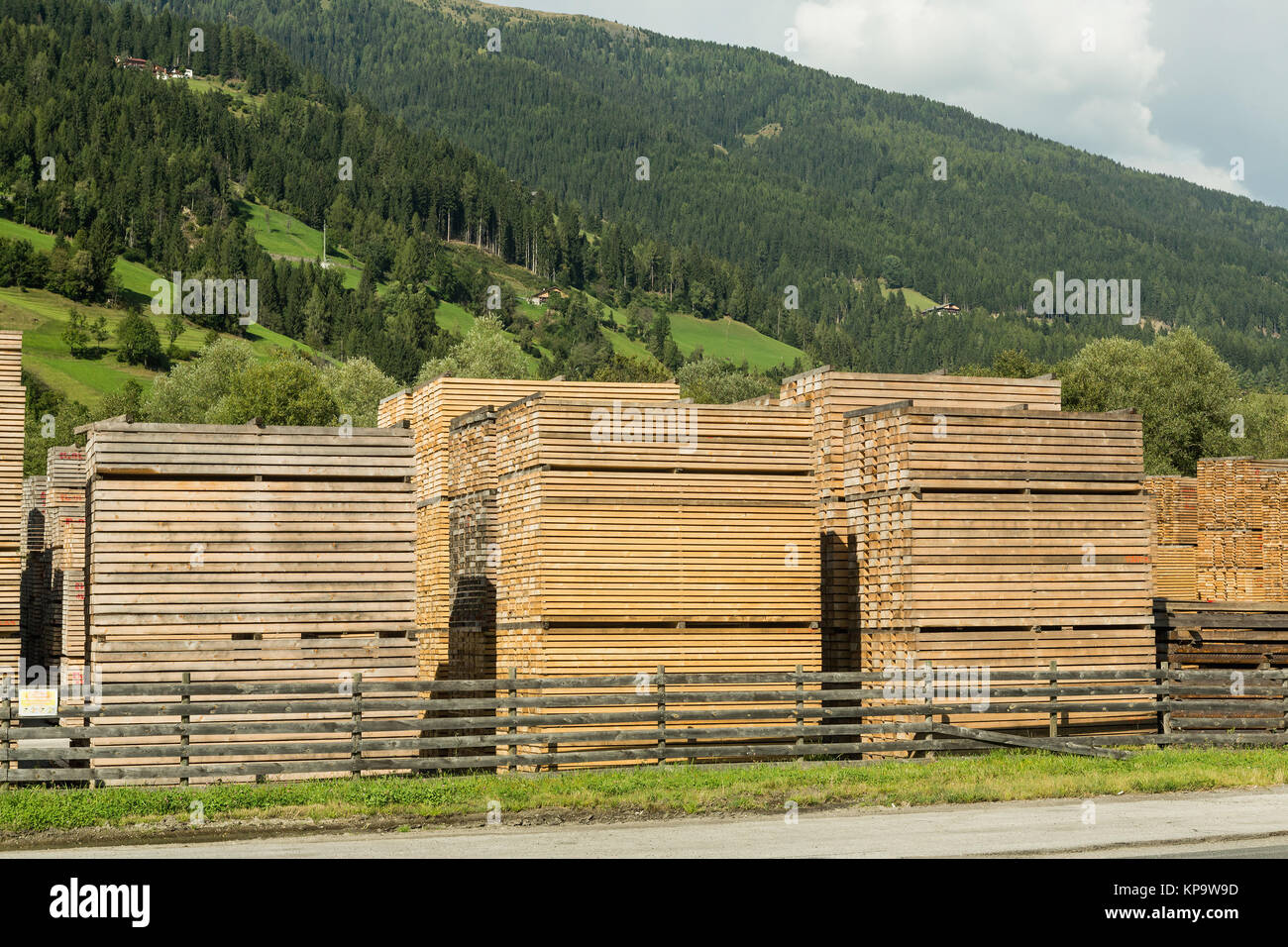 Wood piled and ready for transport, piled up wood ready for transport ...