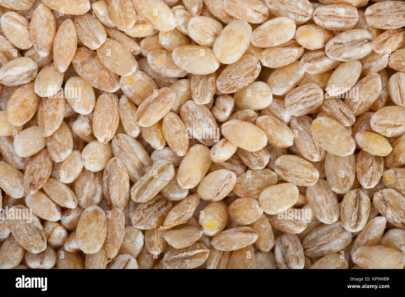 organic barley grains Stock Photo - Alamy