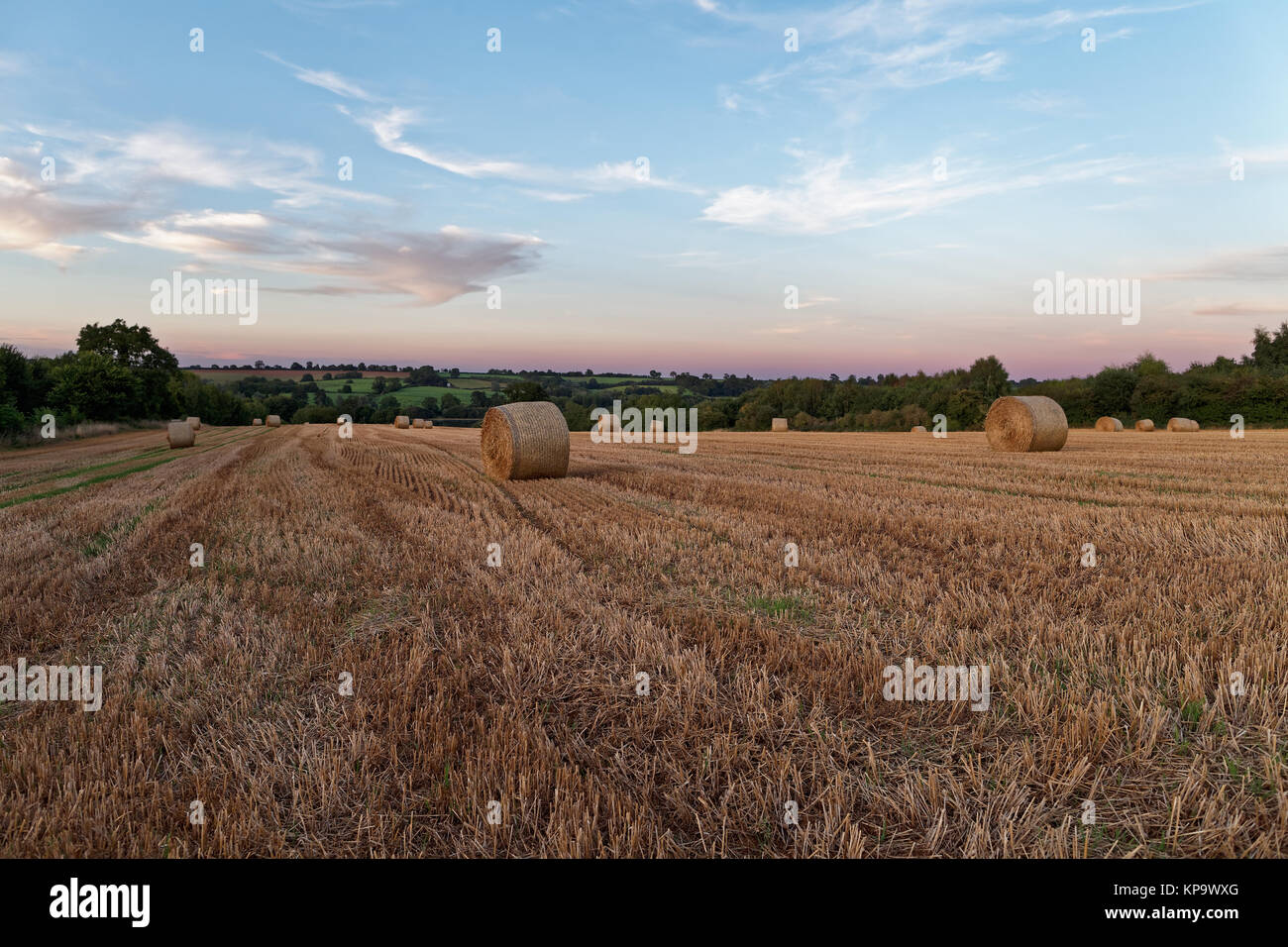 Late Summer sunset over field with hay bales Stock Photo - Alamy