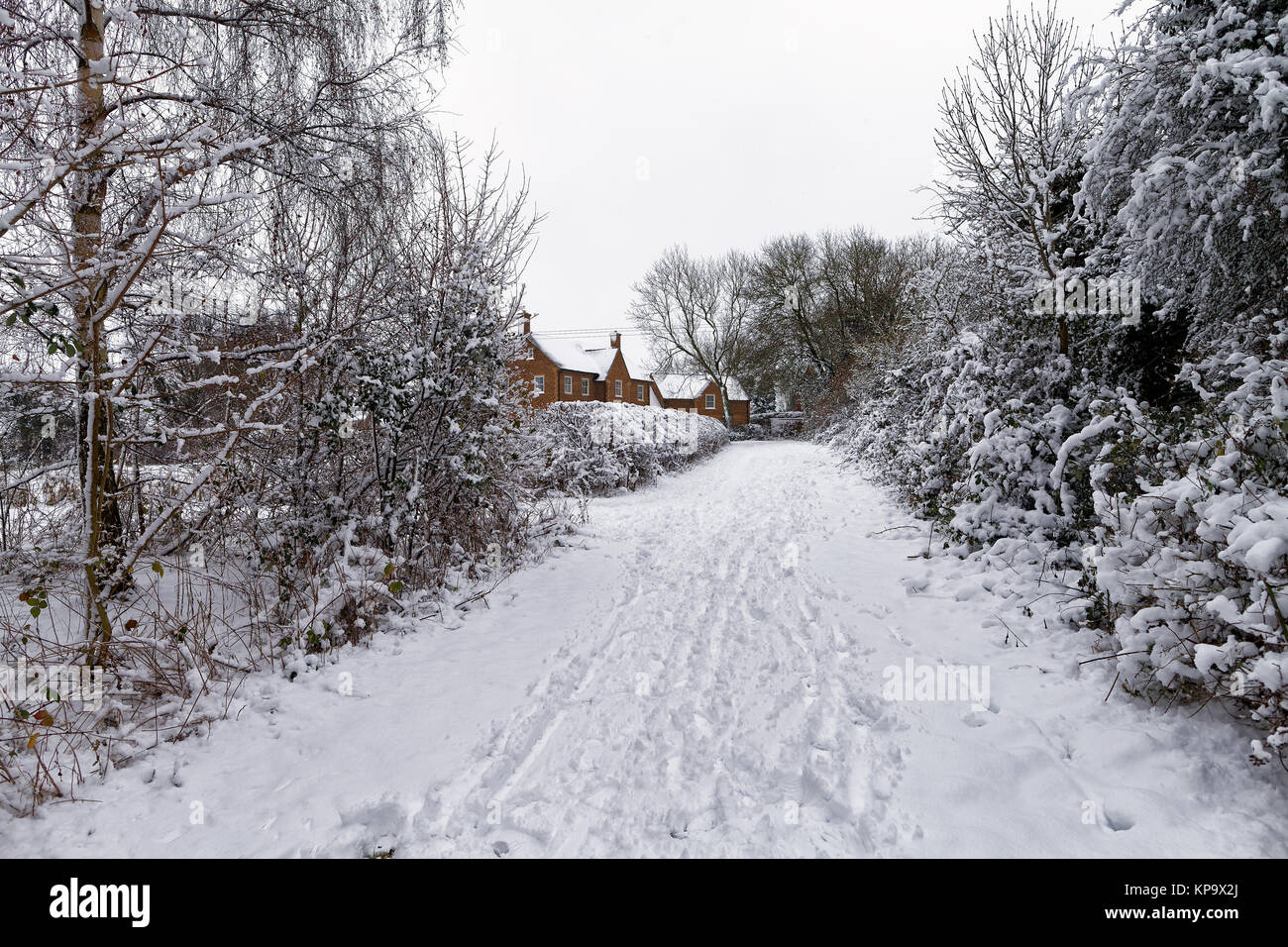 Snowy path through the park with buildings in the background Stock ...