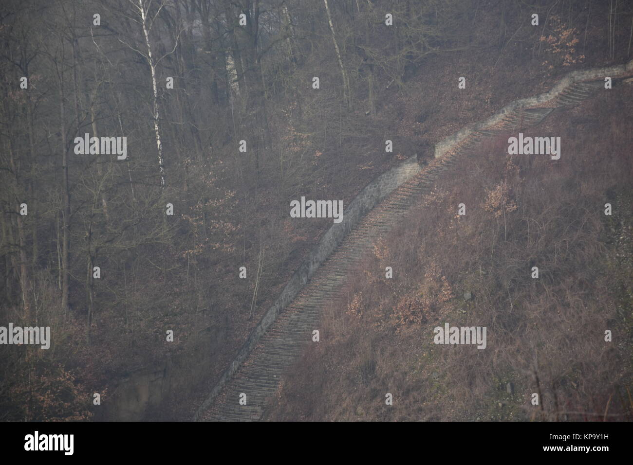 kz,concentration camp,mauthausen,way,way to death stairs,stairs of ...