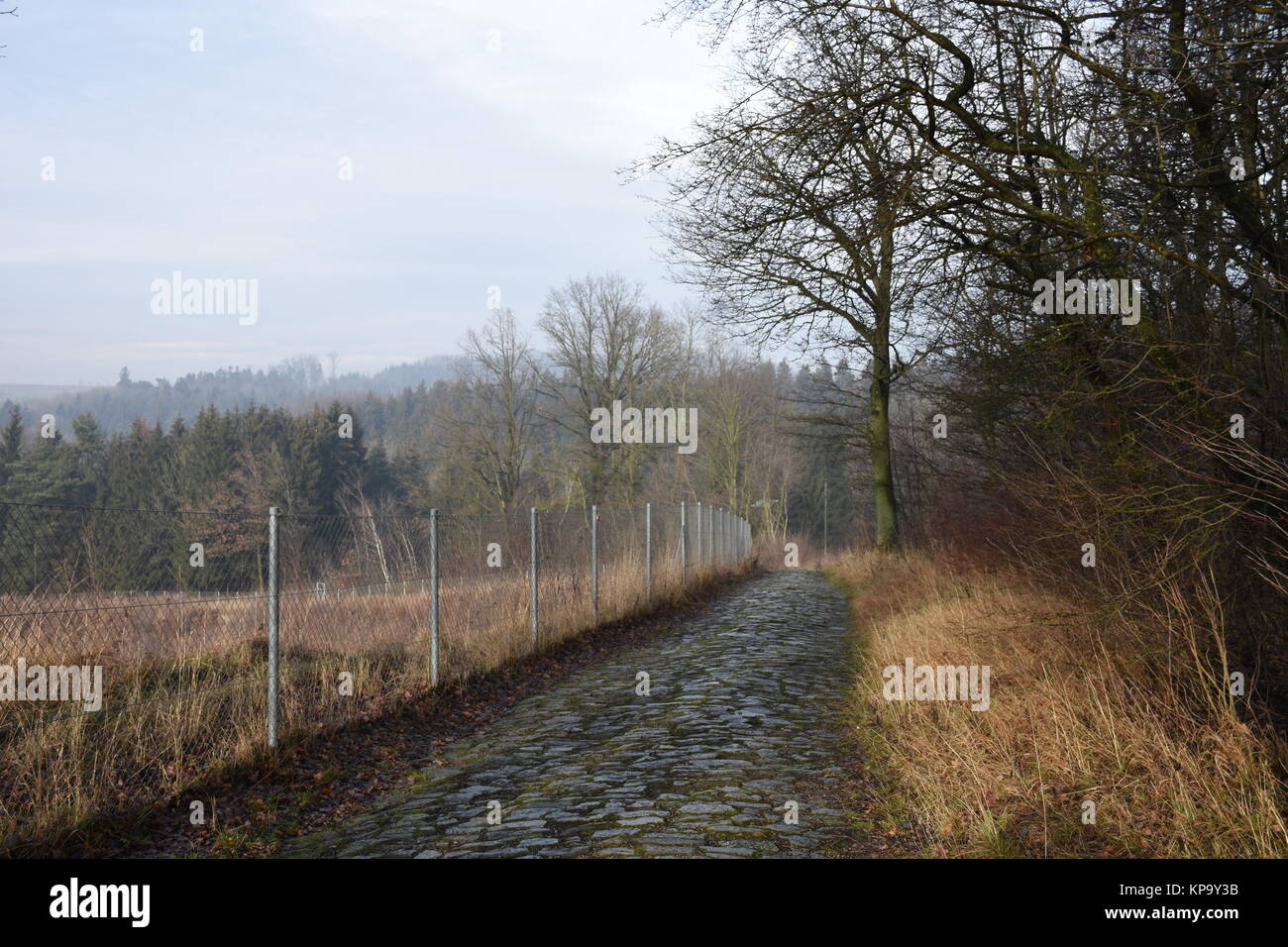 kz,concentration camp,mauthausen,way,way to death stairs,stairs of ...