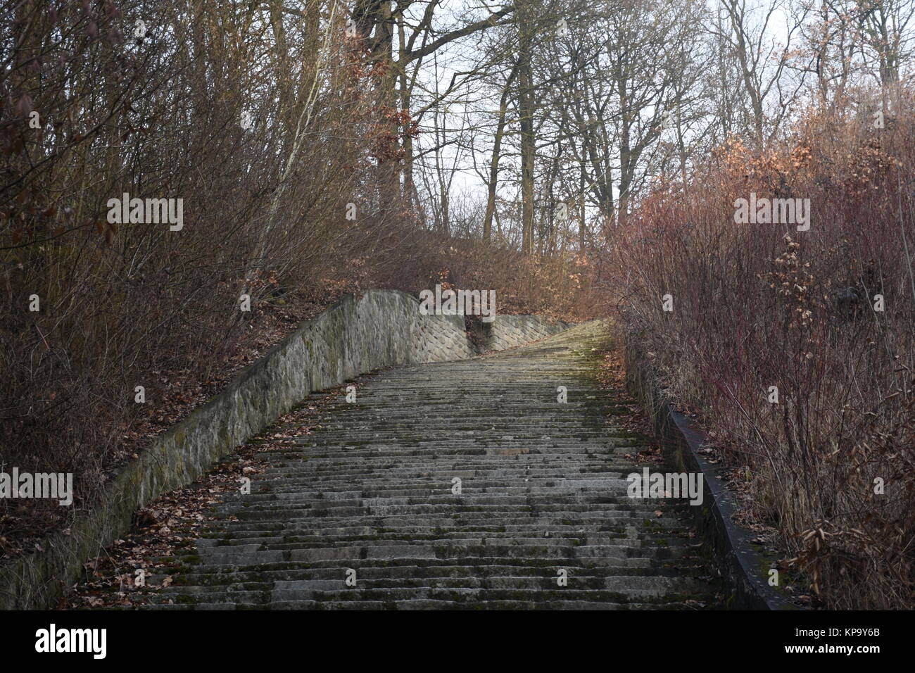 Â kz,concentration camp,mauthausen,stairs of death,quarry,remembrance ...