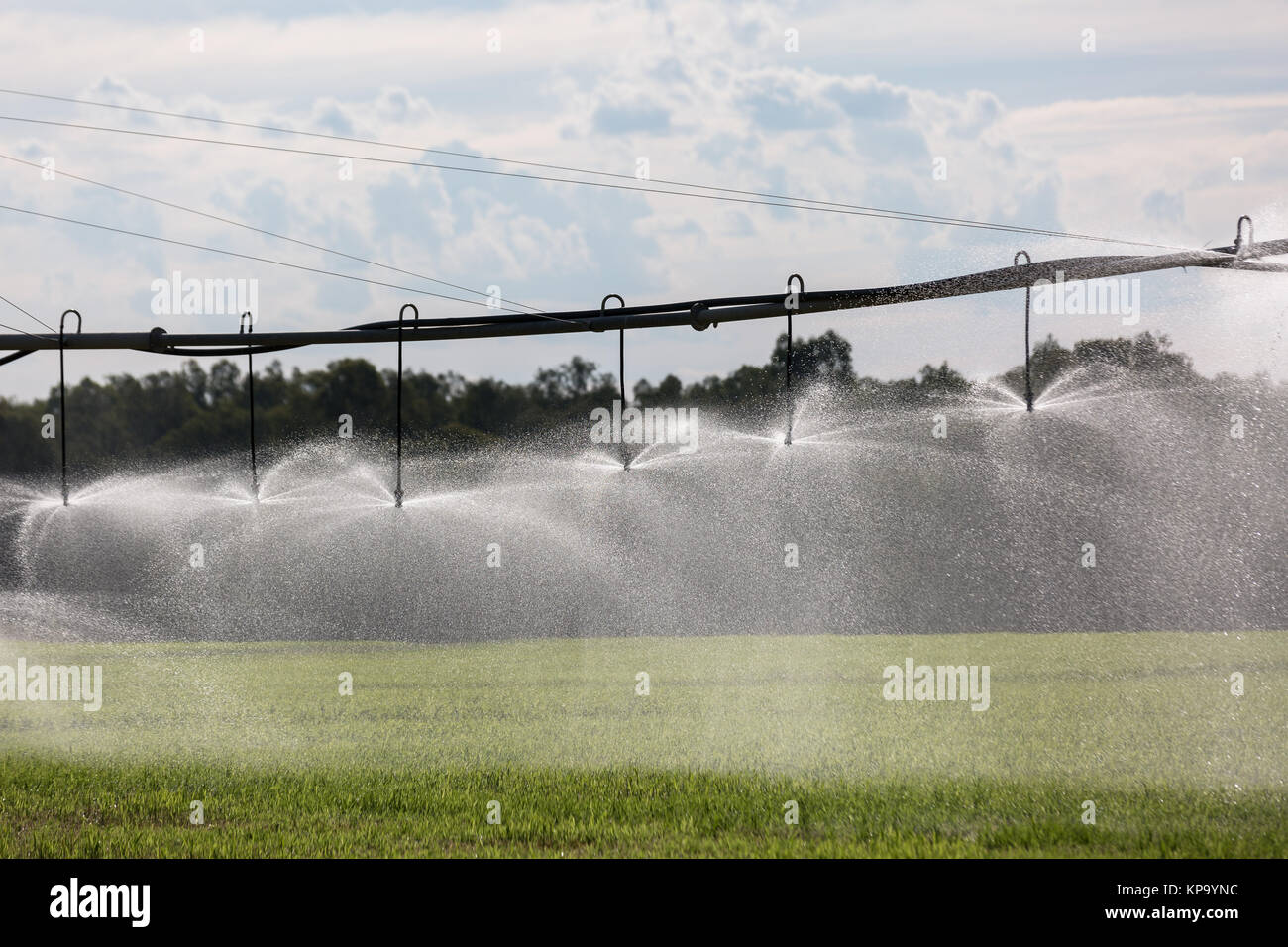 Large Lateral Move Irrigation System Stock Photo - Alamy