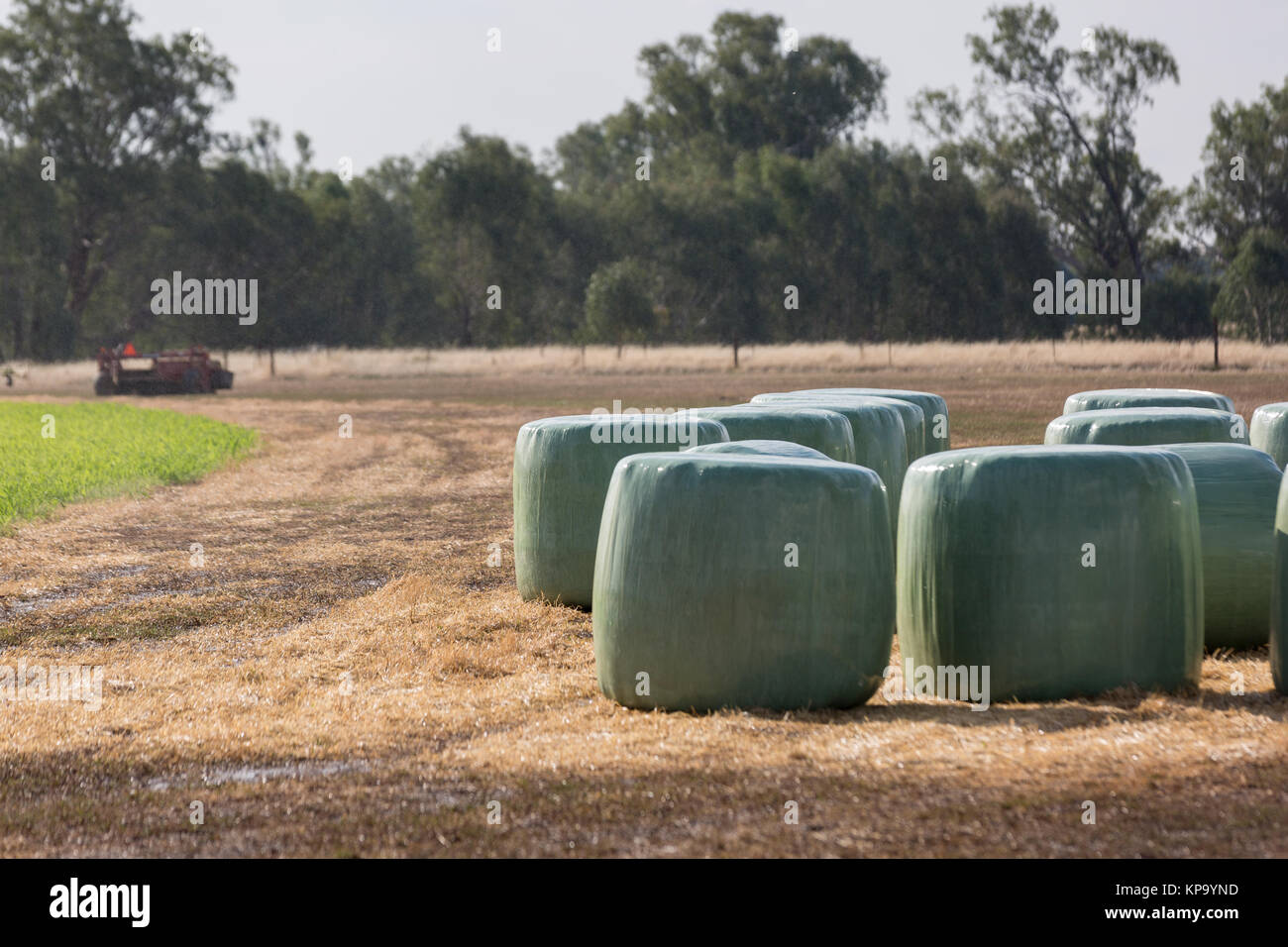 Baleage hi-res stock photography and images - Alamy