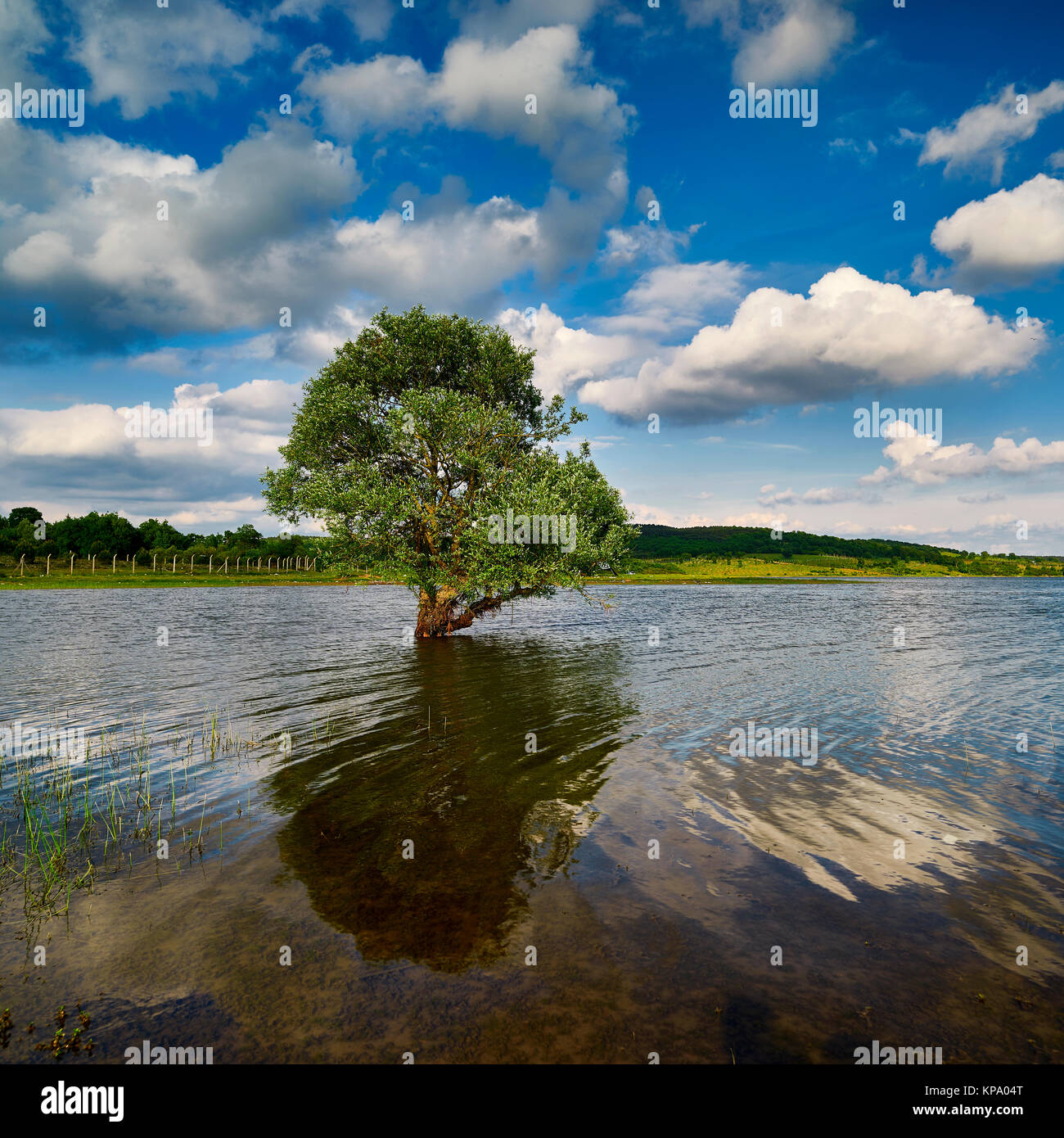 Aquatic culture hi-res stock photography and images - Alamy