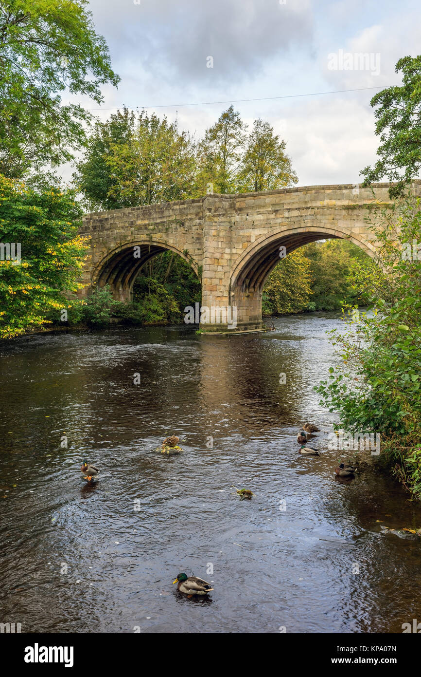 Chatsworth waterfall hi-res stock photography and images - Alamy