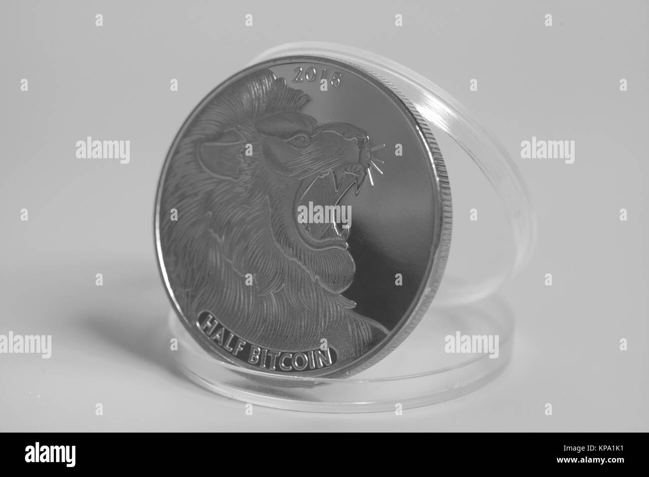 Half lion half tiger hi-res stock photography and images - Alamy