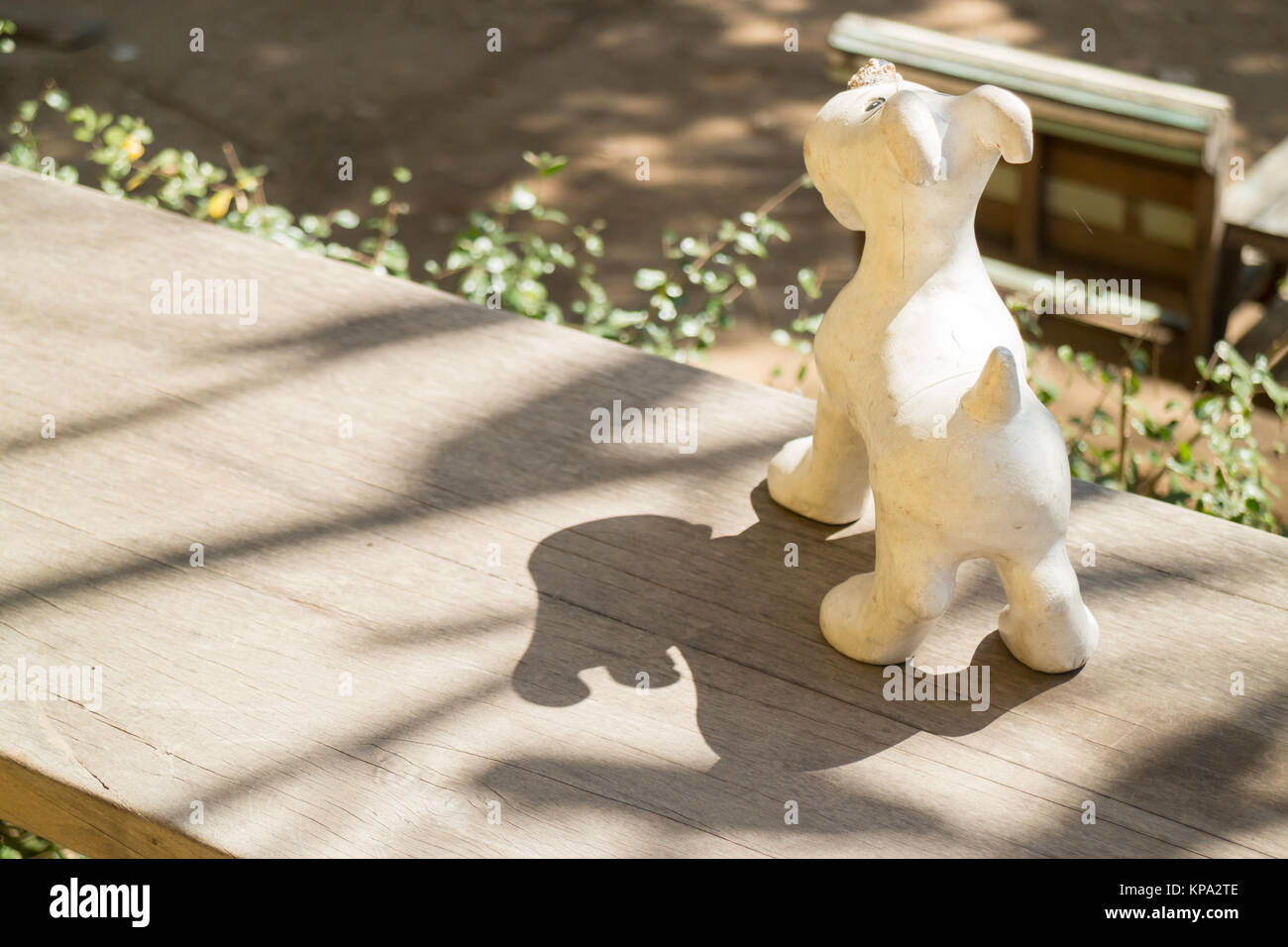 Dog plaster hi-res stock photography and images - Alamy