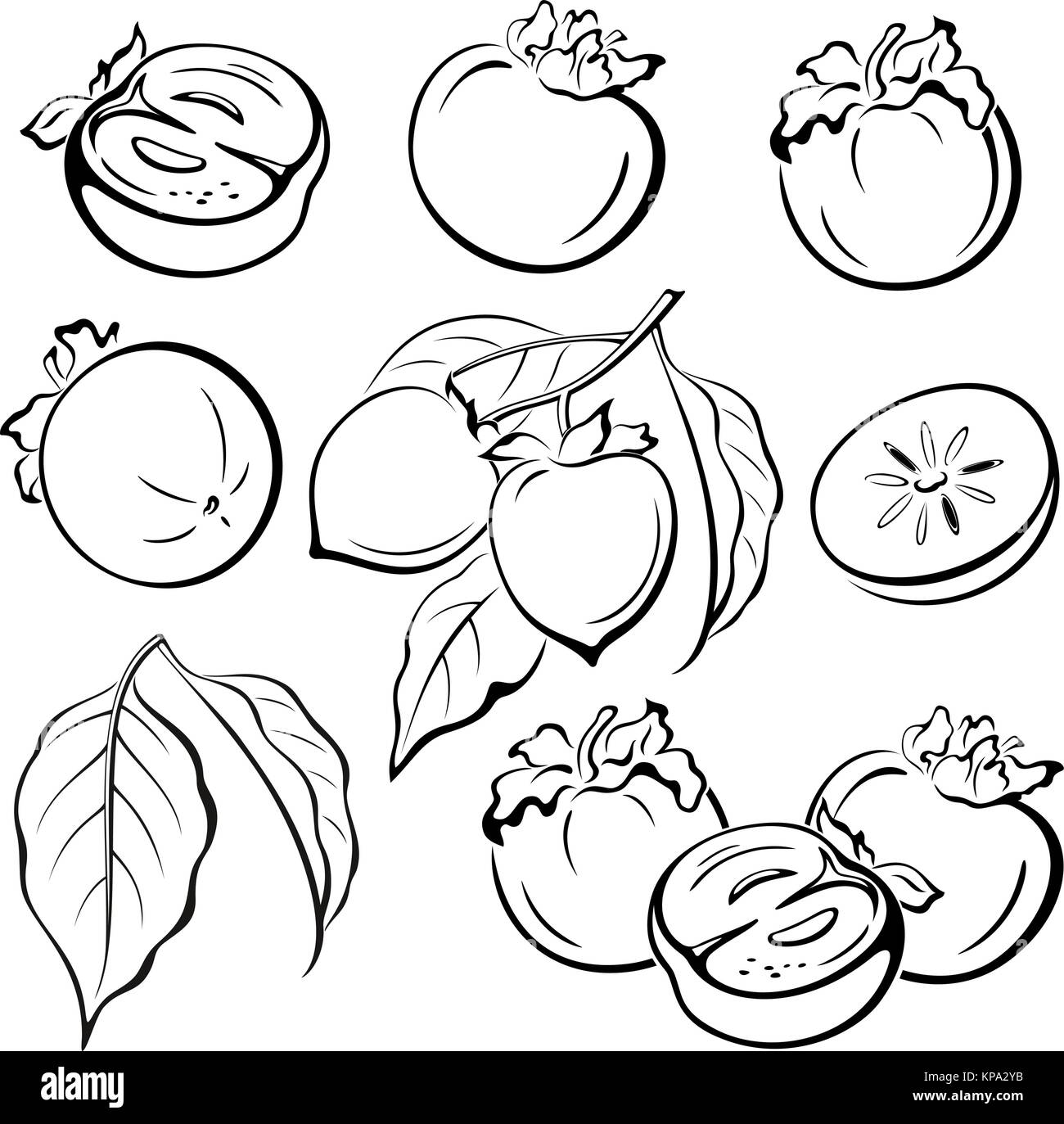 Persimmon fruits Stock Vector Images - Alamy