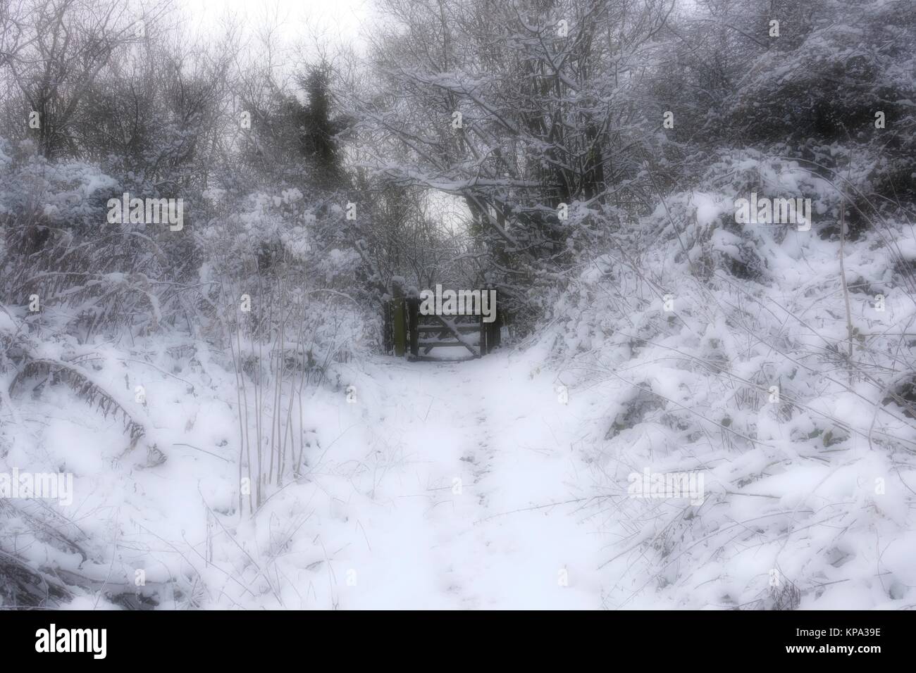 Winter snow scene Stock Photo - Alamy