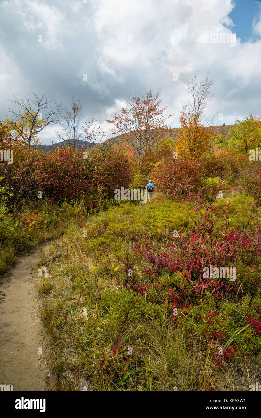 Autumn season at Graveyard Fields near Asheville, North Carolina. A ...