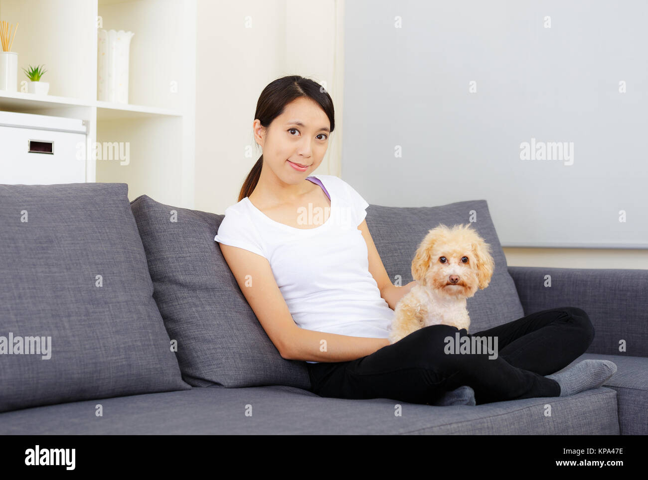 Asia woman and poodle at home Stock Photo - Alamy