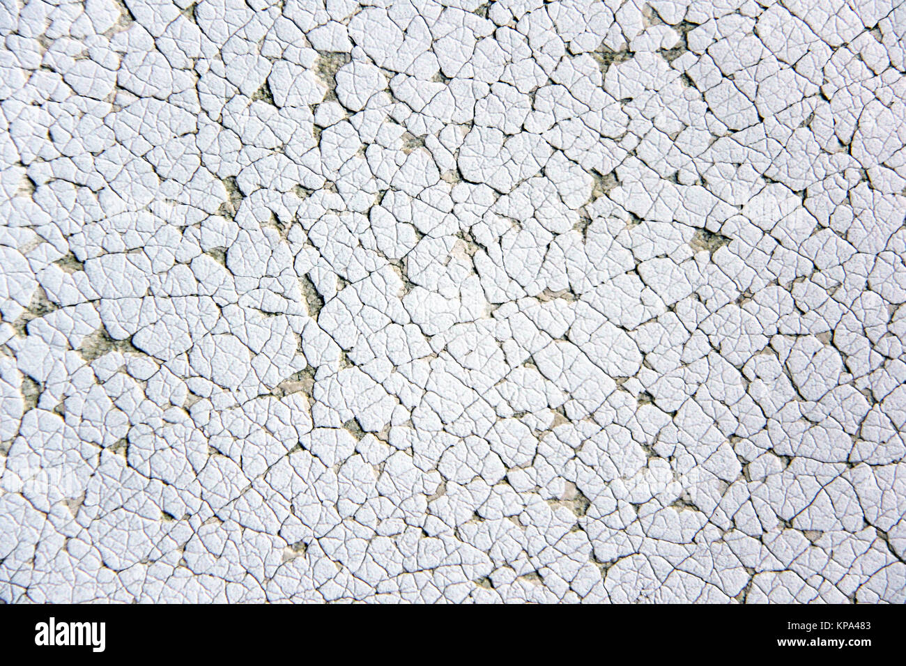 Cracked Leather Texture