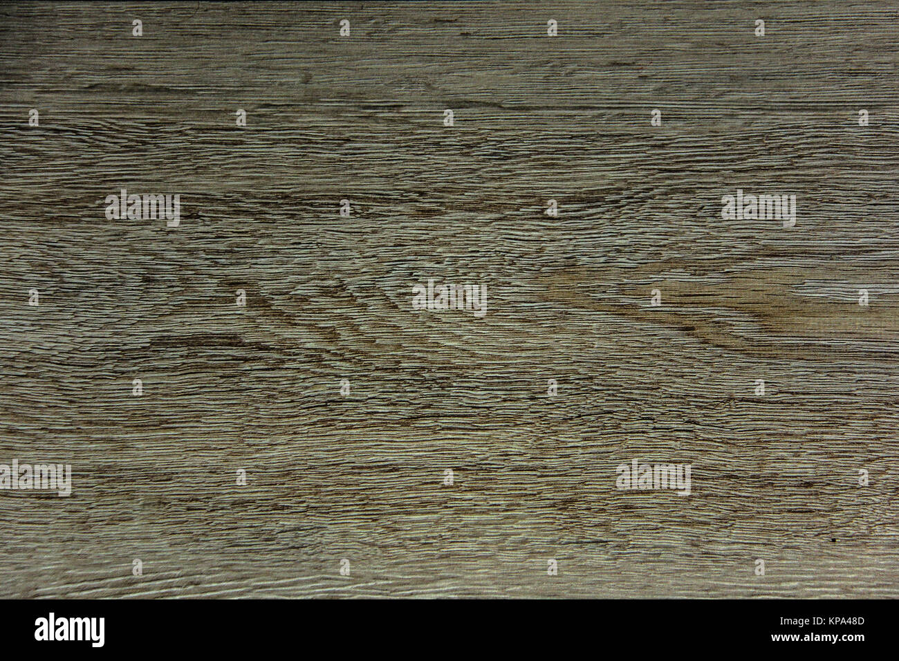 oak tree texture surface close up background Stock Photo - Alamy