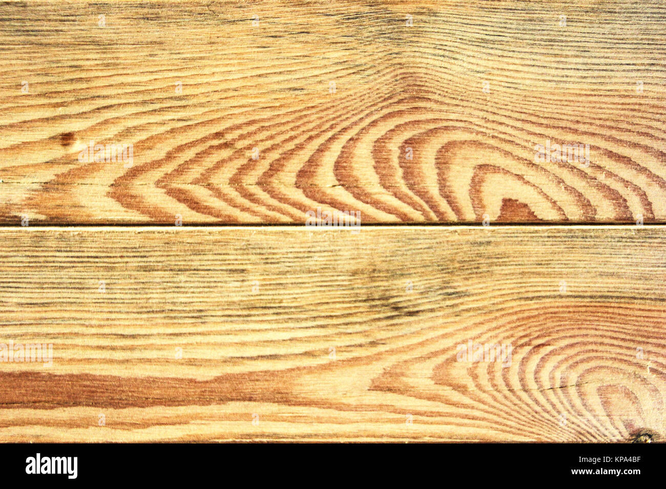 oak tree texture surface close up background Stock Photo - Alamy