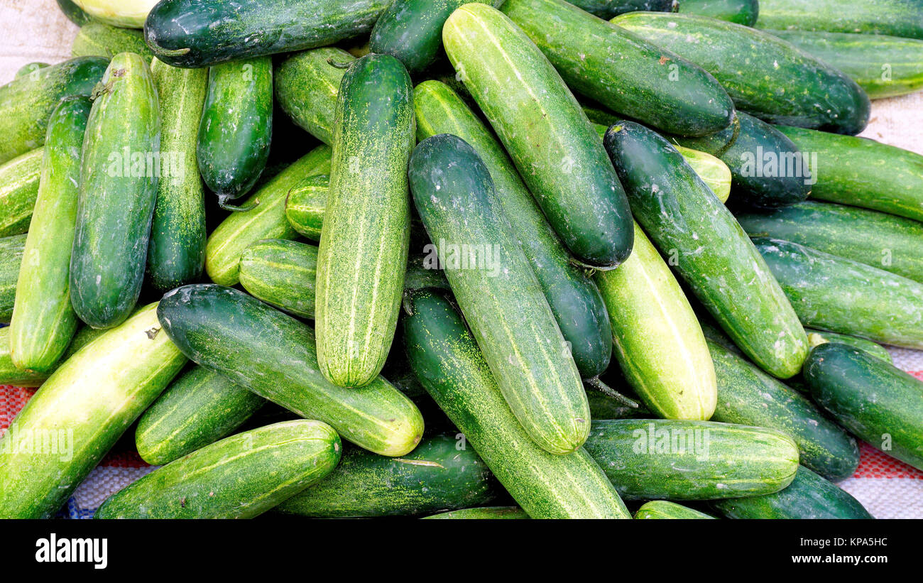 Fresh cucumber organic vegetables in farmer market Stock Photo - Alamy