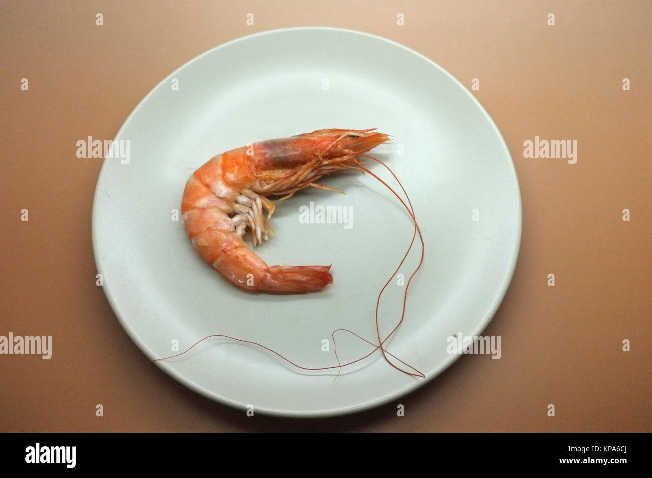 Cooked, boiled, steamed shrimp, prawn Stock Photo - Alamy
