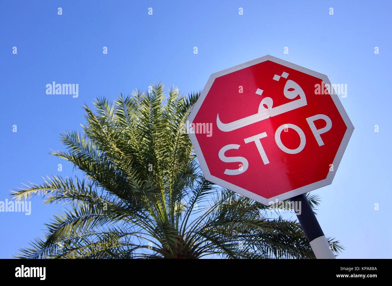 Stop sign with Arabic script Stock Photo - Alamy