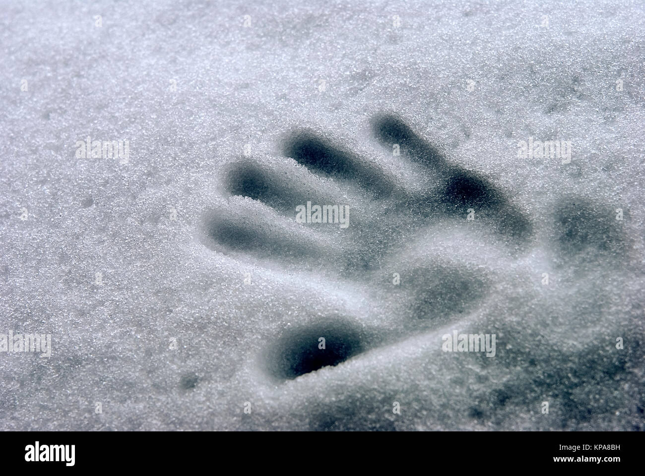 Imprint of a young child's hand in fresh snow Stock Photo - Alamy