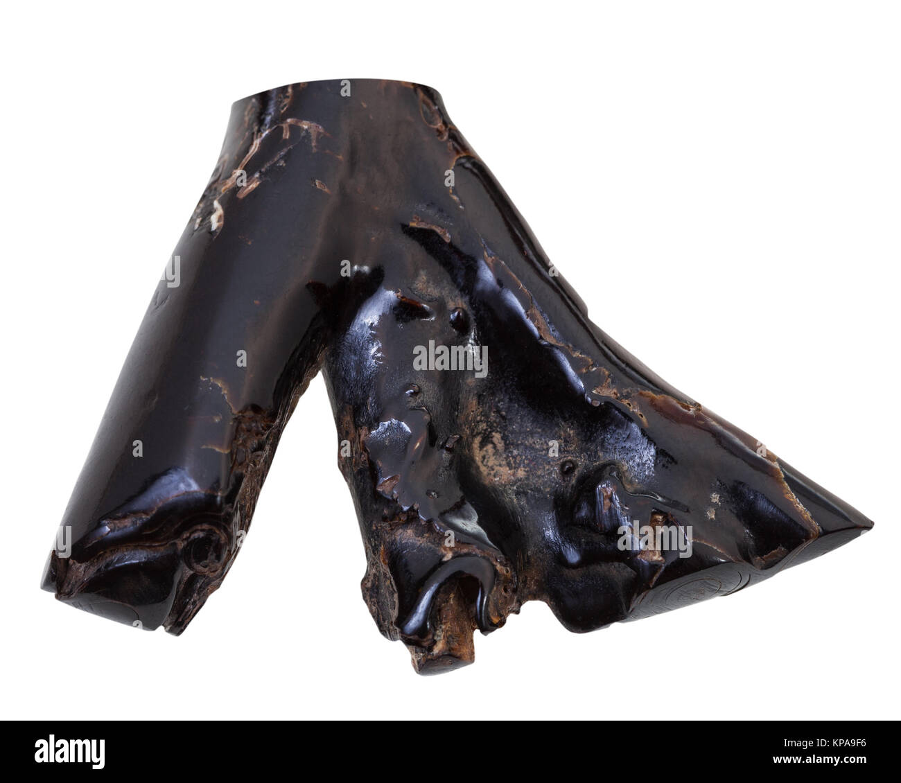 Deep sea black coral Cut Out Stock Images & Pictures - Alamy