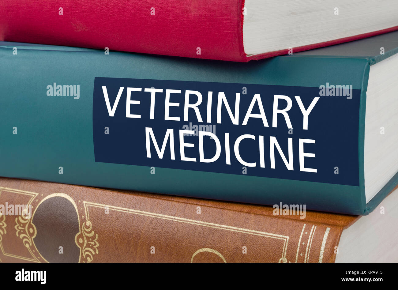 A book with the title Veterinary Medicine written on the spine Stock ...