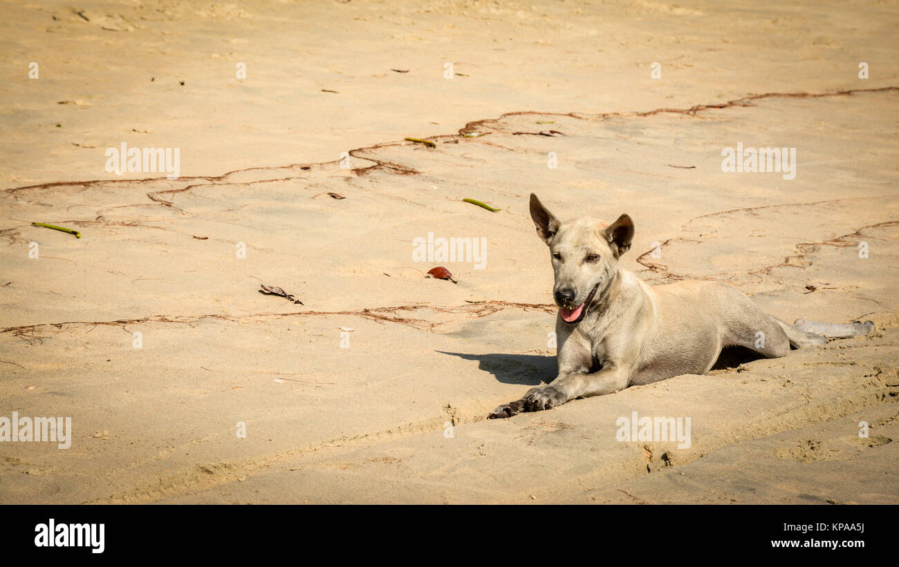 Play sand on beach hi-res stock photography and images - Alamy