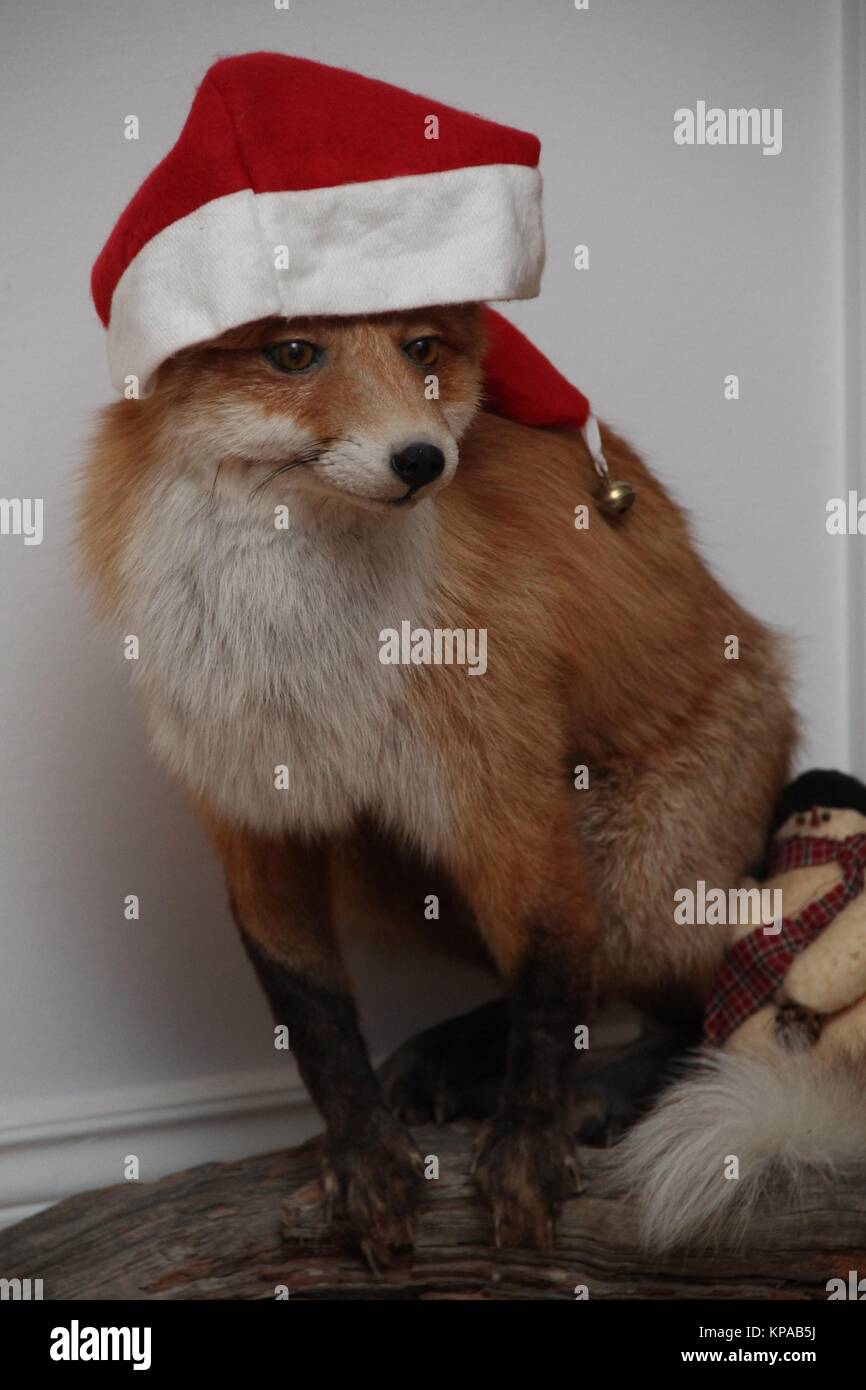 Santahat hi-res stock photography and images - Alamy