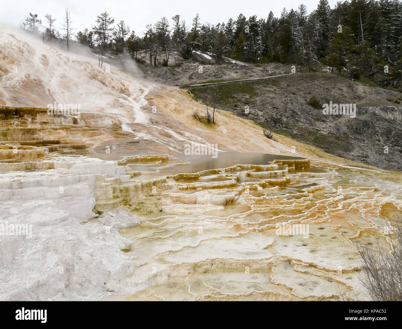 Colorful Hot Springs Terraces In Yellowstone National Park Stock Photo ...