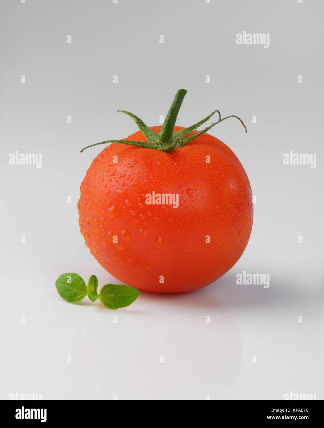 wet red tomato Stock Photo - Alamy