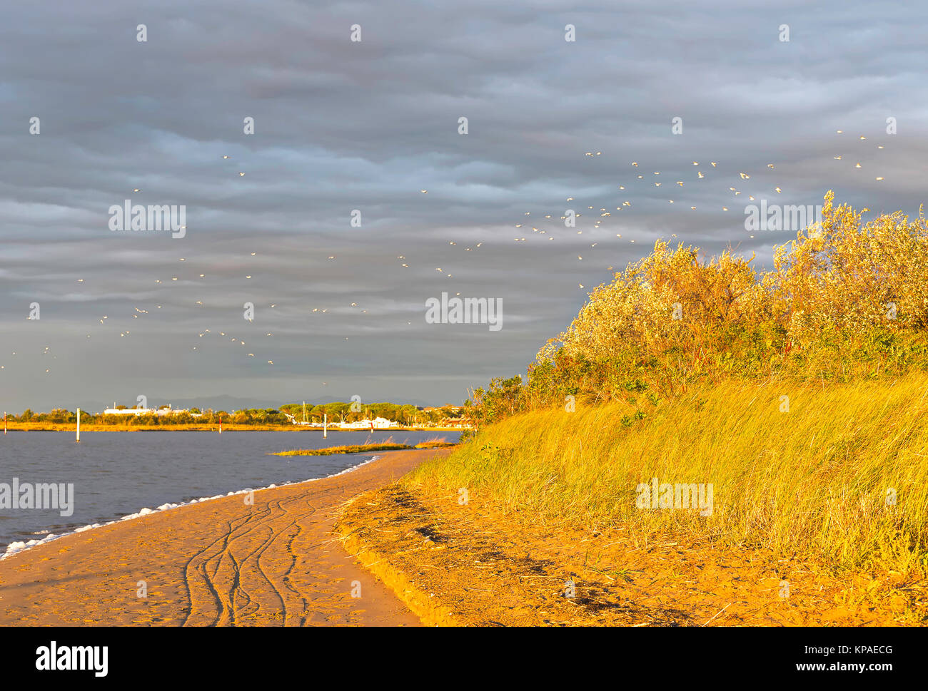 views of the landscape of the lagoon in Bibione Pineda Stock Photo - Alamy