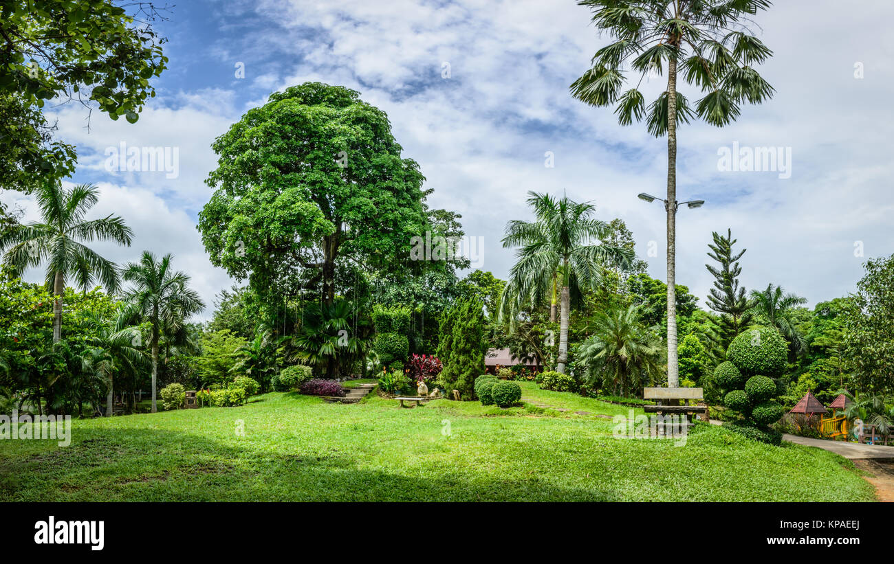 beautiful place to relax, with trees and palms Stock Photo - Alamy