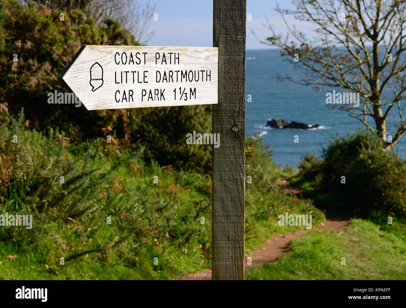 Compass cove devon hi-res stock photography and images - Alamy