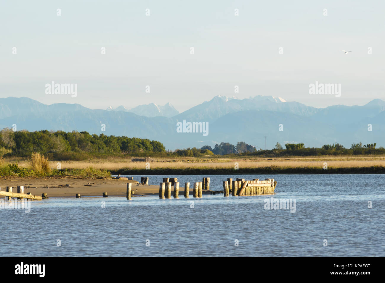 views of the landscape of the lagoon in Bibione Pineda Stock Photo - Alamy