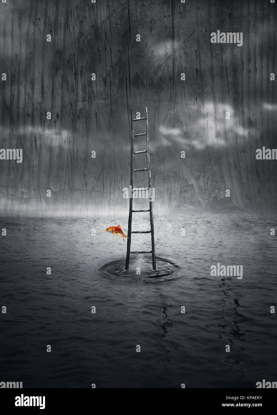 Fantasy background with a wooden ladder out of the water and a colored ...