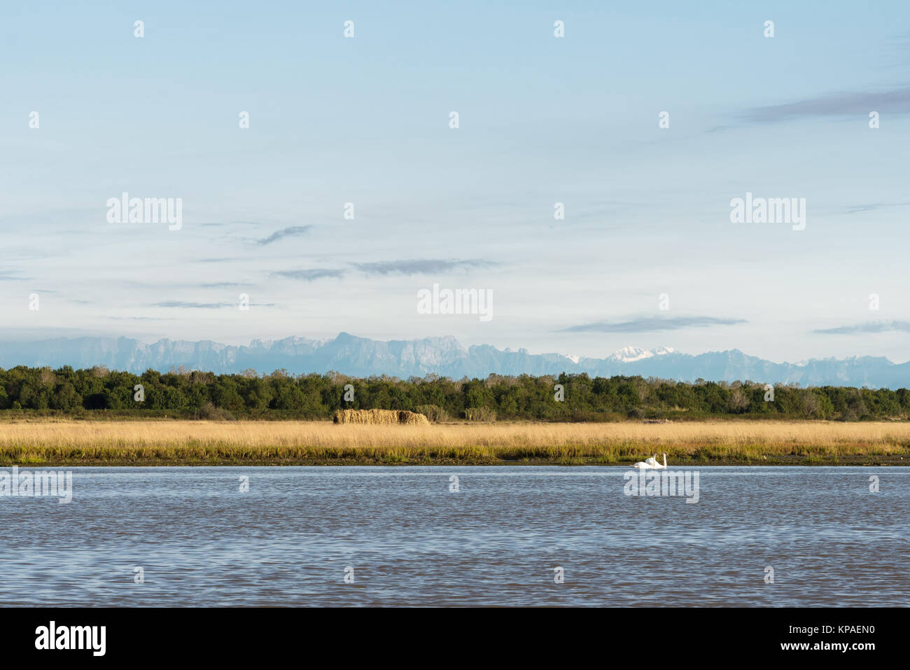 views of the landscape of the lagoon in Bibione Pineda Stock Photo - Alamy