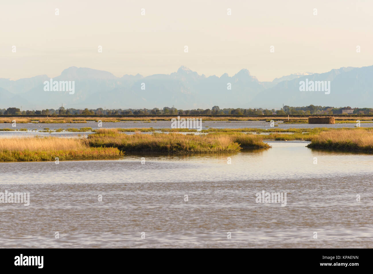 views of the landscape of the lagoon in Bibione Pineda Stock Photo - Alamy