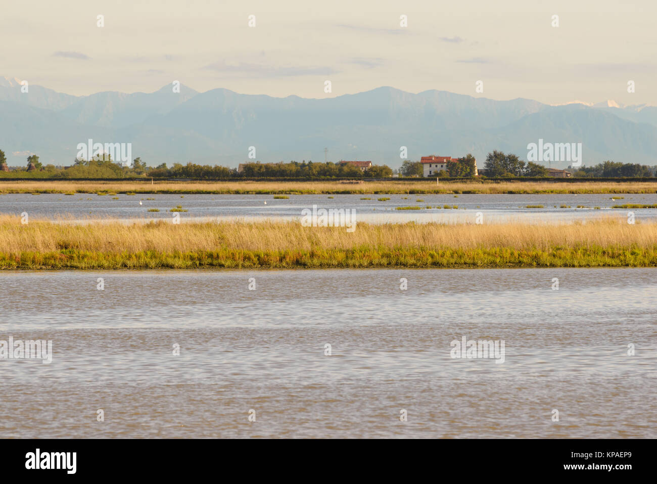 views of the landscape of the lagoon in Bibione Pineda Stock Photo - Alamy