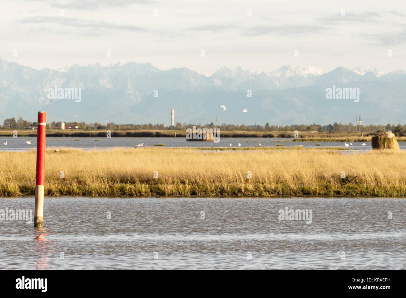 views of the landscape of the lagoon in Bibione Pineda Stock Photo - Alamy