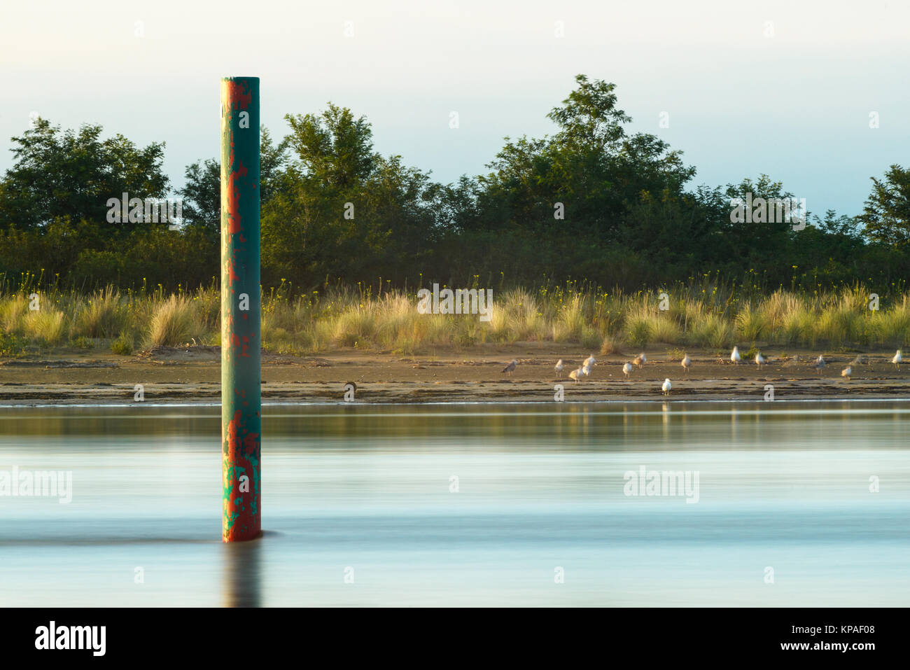 views of the landscape of the lagoon in Bibione Pineda Stock Photo - Alamy