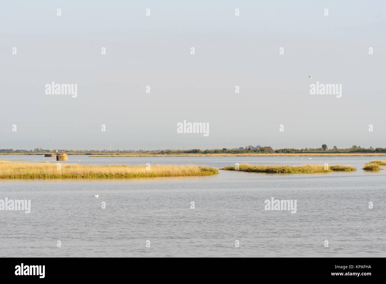 views of the landscape of the lagoon in Bibione Pineda Stock Photo - Alamy