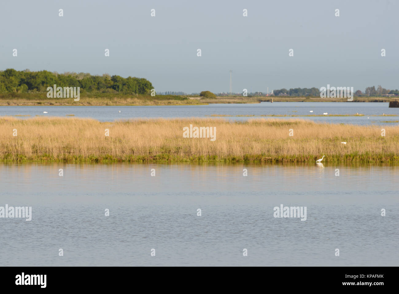views of the landscape of the lagoon in Bibione Pineda Stock Photo - Alamy