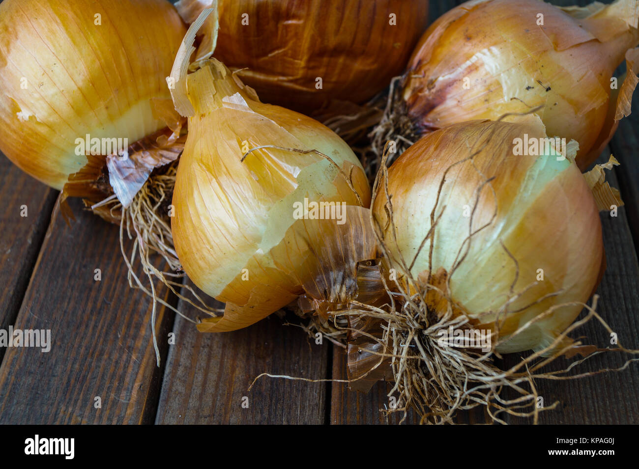 lot of ripe onion Stock Photo - Alamy