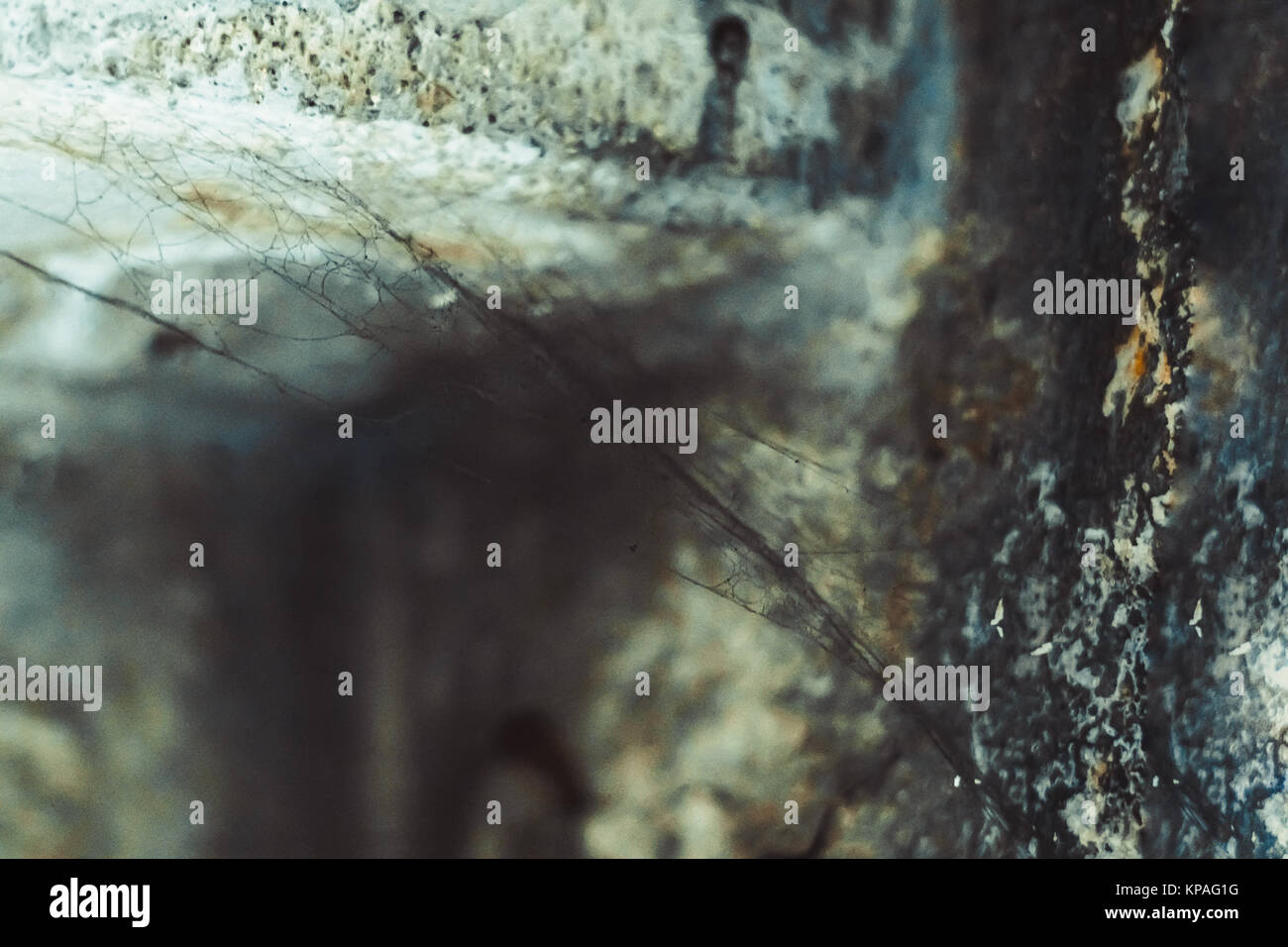 Old window with a lot of spider web Stock Photo - Alamy
