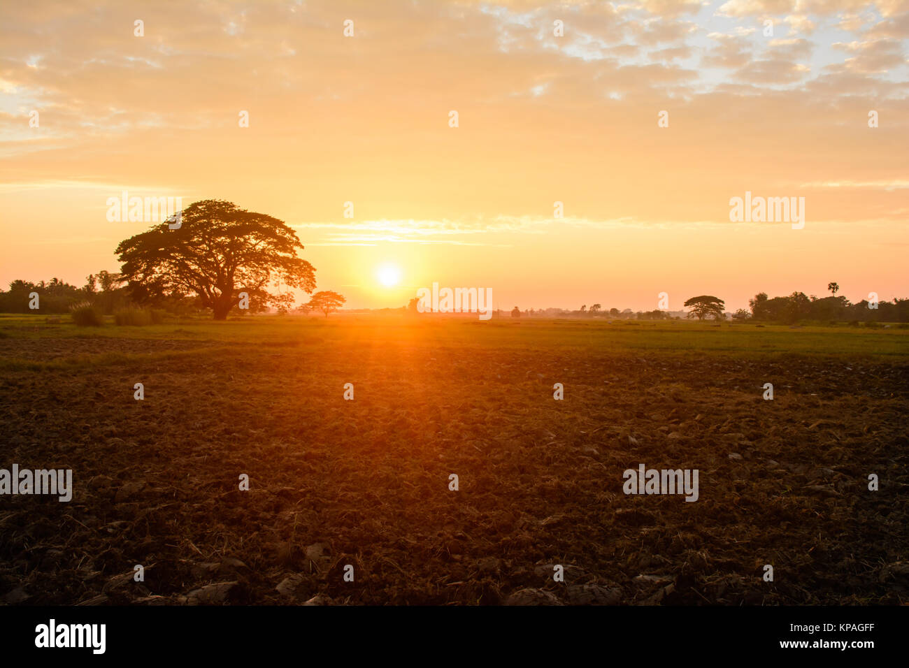 landscape view of sunset on the farm at countryside Stock Photo - Alamy